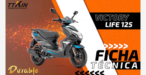 Desafíos y oportunidades de Repuestos Victory Life: importación de ...